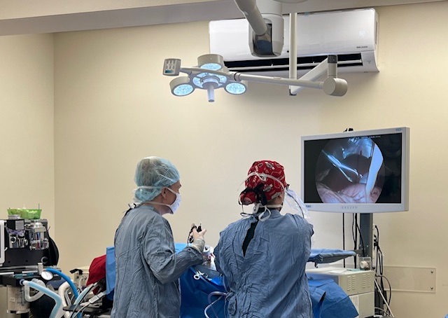 Laparoscopic Spays & Neuters - Litchfield Veterinary Hospital ...